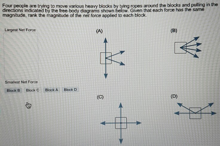 Solved N In The Absence Of A Net Force An Object Cannot Be