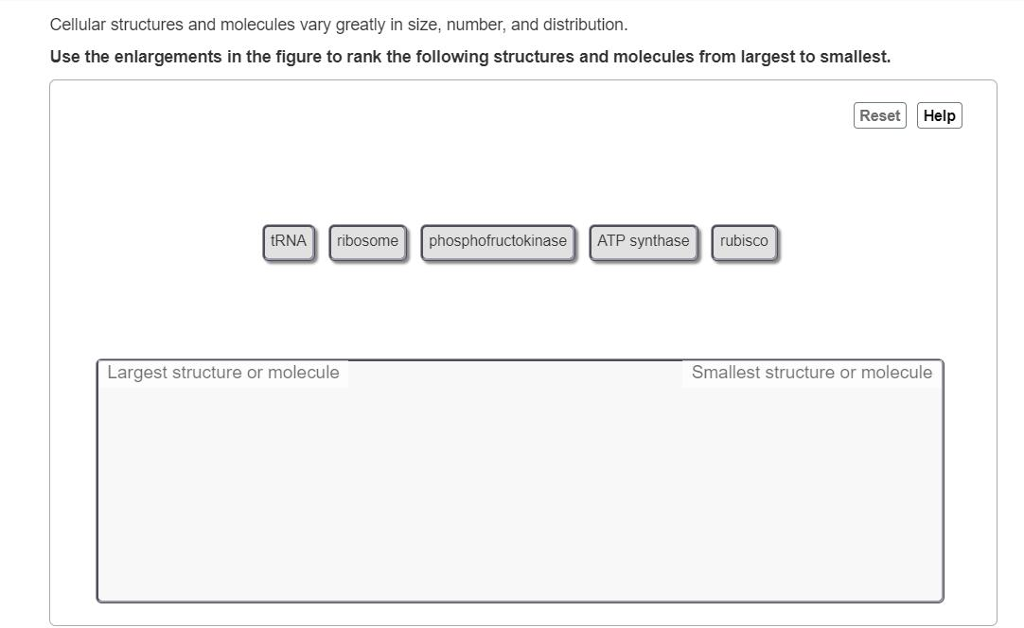 Solved Cellular structures and molecules vary greatly in | Chegg.com