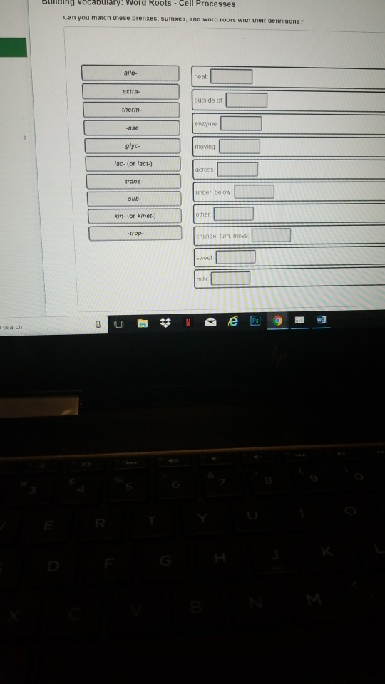 Solved Buiding vocabulary: word Roots Cell Processes heat | Chegg.com