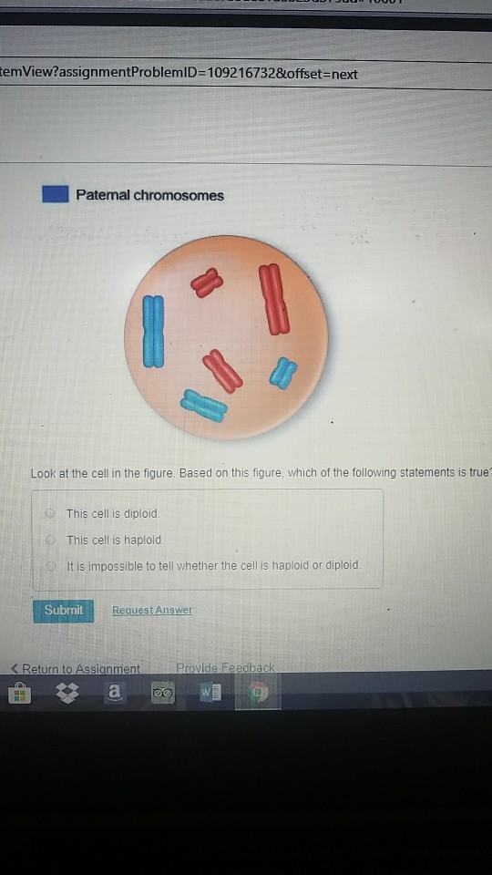 Solved temView?assignmentProblemID-1092167328offset-next | Chegg.com