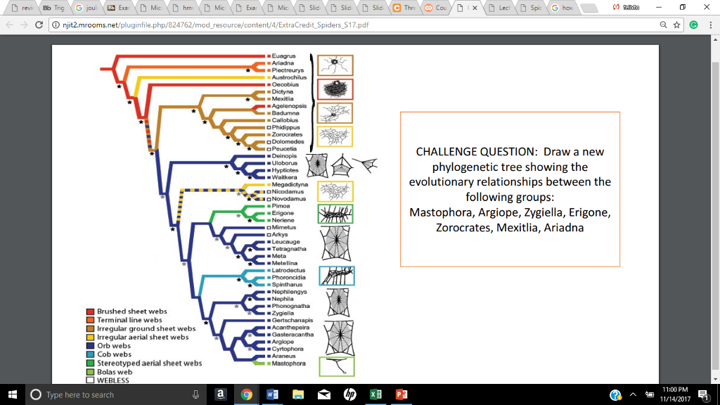 Solved ⓘ | Chegg.com
