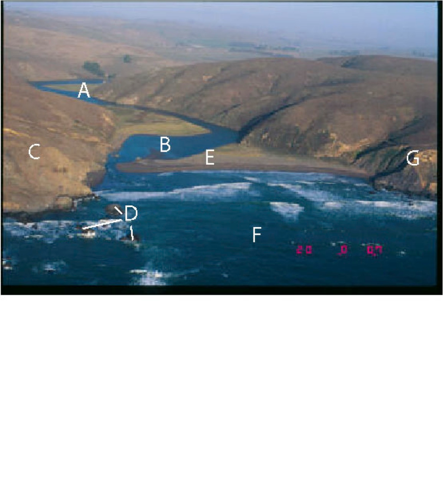 Solved Match the letter in the coastline photo below to the | Chegg.com