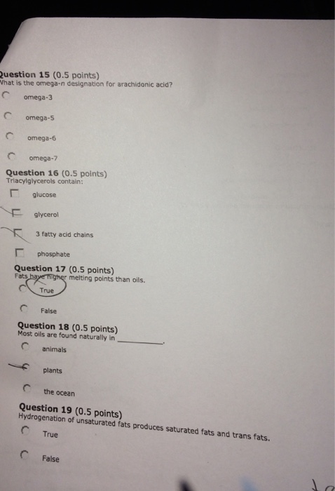 Solved What is the omega-n designation for arachidonic acid? | Chegg.com
