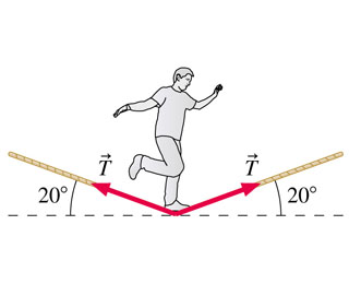 Solved A 64 kg student is walking on a slackline, a length | Chegg.com