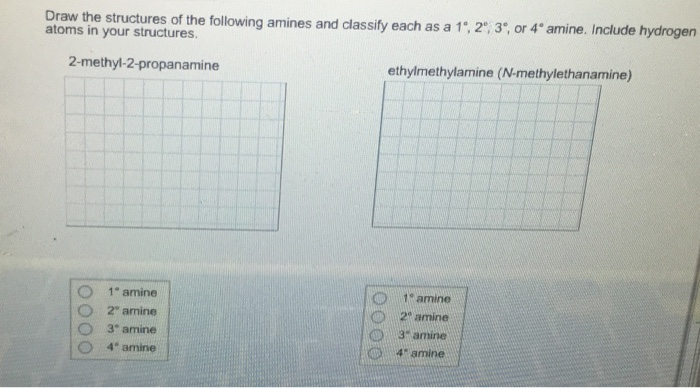 Solved Draw the structures of the following amines and | Chegg.com
