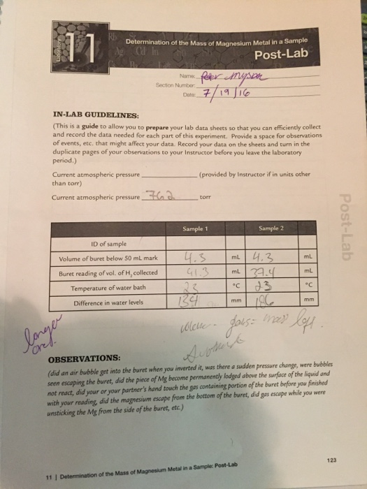 Solved Determination of the Mass of Magnesium Metal in a | Chegg.com