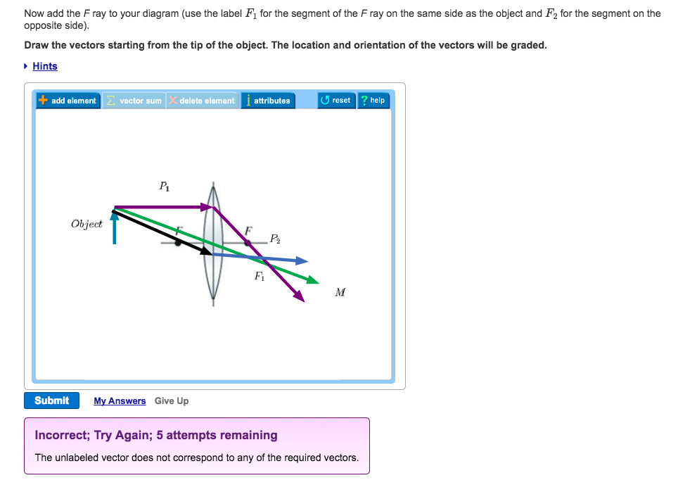 Solved Now add the F ray to your diagram (use the label F1 | Chegg.com