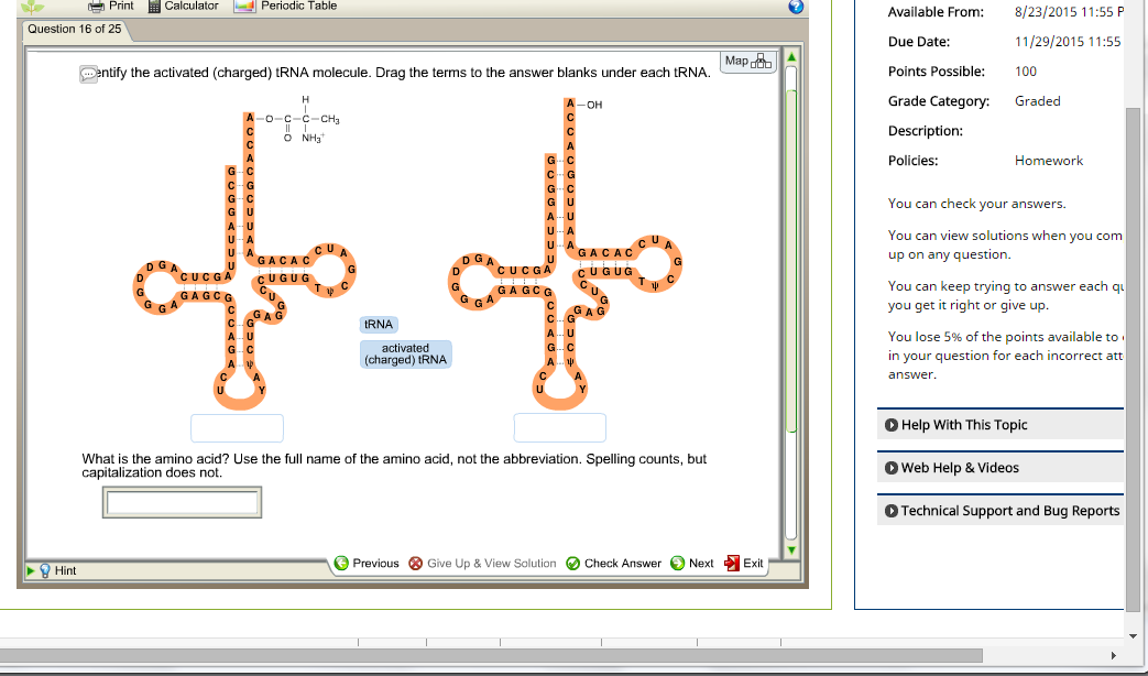 Solved Identify the activated (charged) tRNA molecule. Drag | Chegg.com