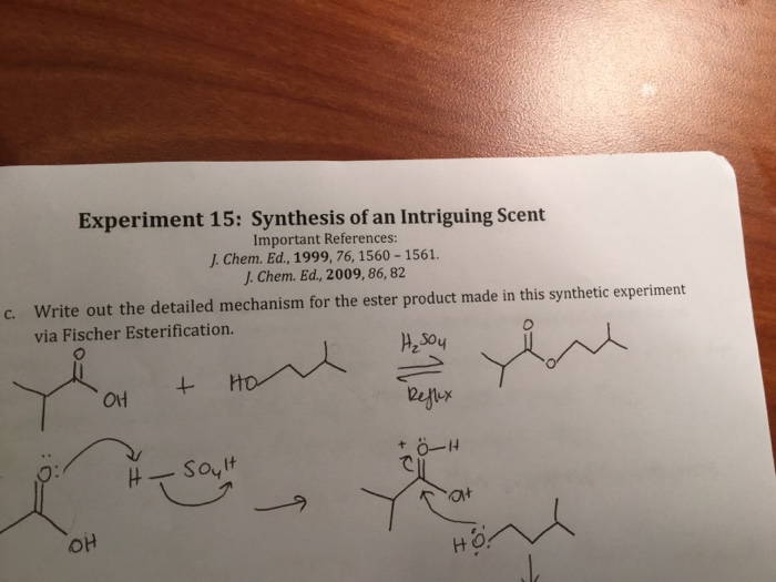 Solved Write out the detailed mechanism for the ester | Chegg.com