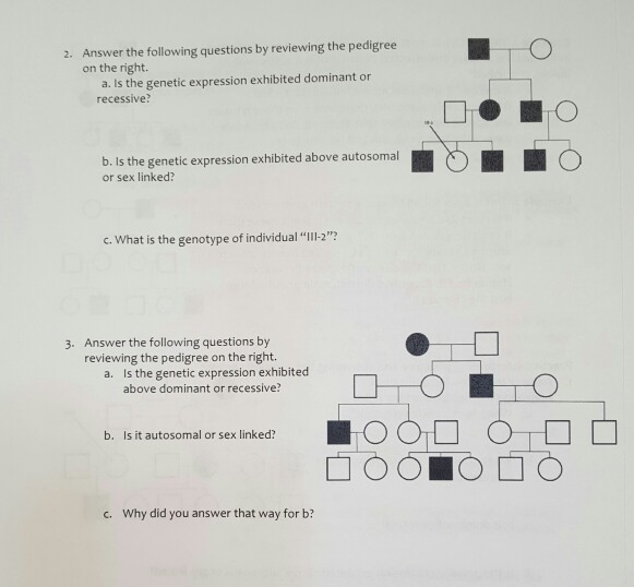 Solved Now that you are comfortable writing genotypes and | Chegg.com