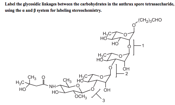 Label the glycosidic linkages between the | Chegg.com