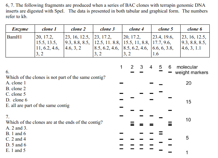 Solved: The Following Fragments Are Produced When A Series... | Chegg.com