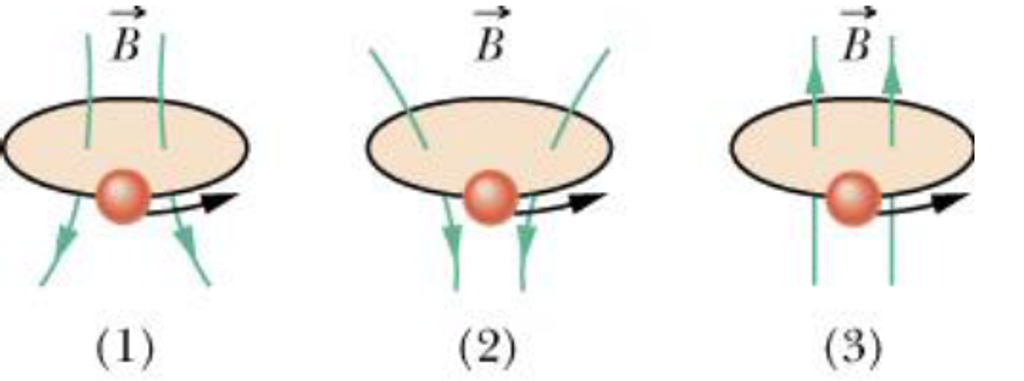 Solved The Figure shows three loop models of an electron | Chegg.com