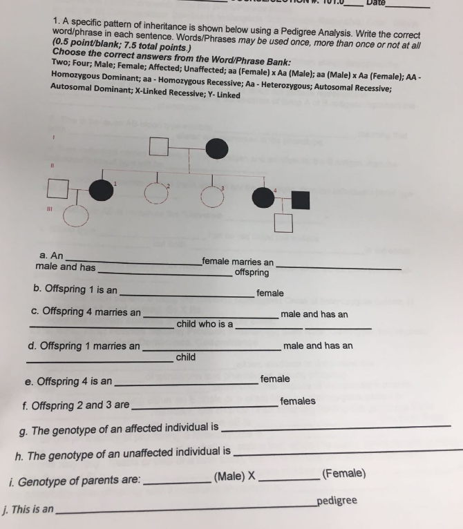 Solved A specific pattern of inheritance is shown below | Chegg.com