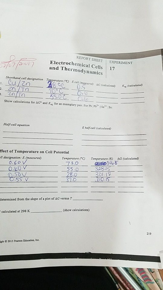 Solved REPORT SHEET EXPERIMENT Electrochemical Cells 17 and | Chegg.com