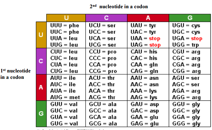 Solved Q1: Based on the name of the gene, what is the | Chegg.com