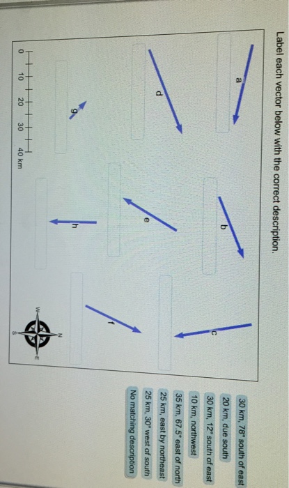 Solved Label each vector below with the correct description. | Chegg.com