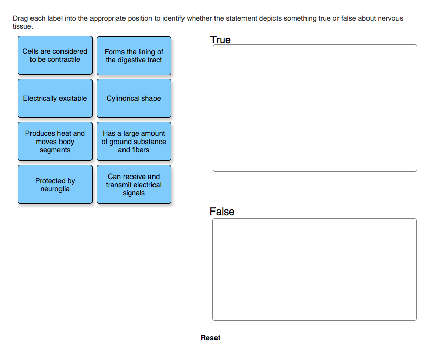 Solved Drag Each Label Into The Appropriate Position To