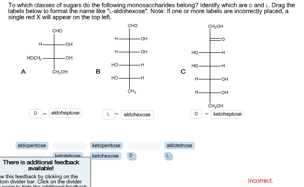Solved Given D-idose below, drag and drop the labels to show | Chegg.com