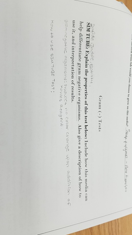 Solved SIM TUBE explain the properties of this test below. | Chegg.com
