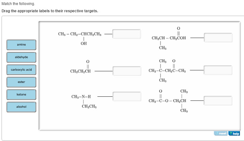 Solved Match the following. Drag the appropriate labels to | Chegg.com