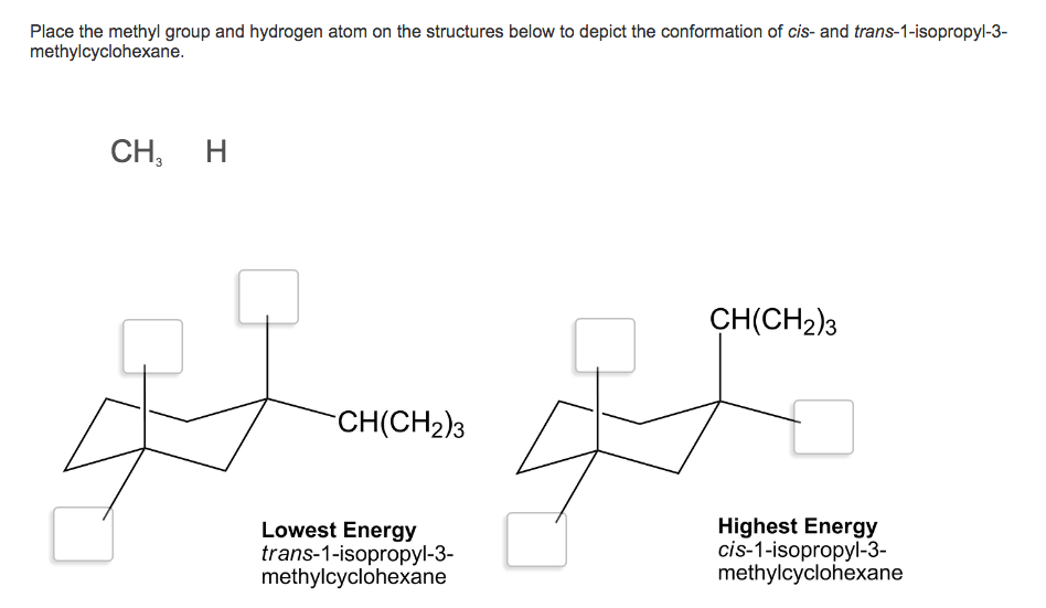 Solved Place the methyl group hydrogen atom on the | Chegg.com
