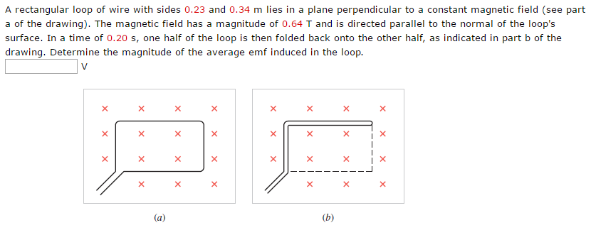 Solved A rectangular loop of wire with sides 0.23 and 0.34 m | Chegg.com