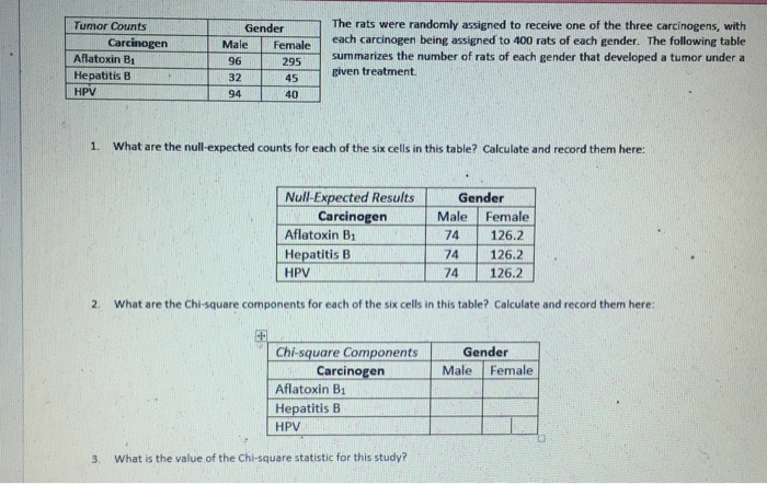 Solved Help With Chi Square Expected Values So I Really 0006