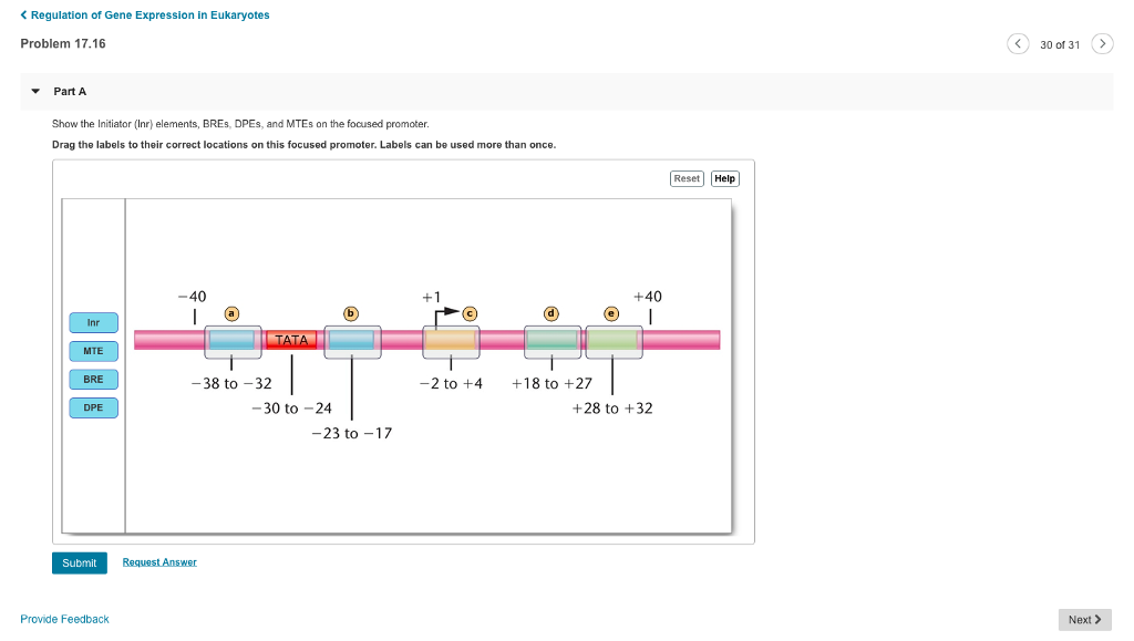 Solved Show the Initiator (Inr) elements, BREs, DPEs, and | Chegg.com