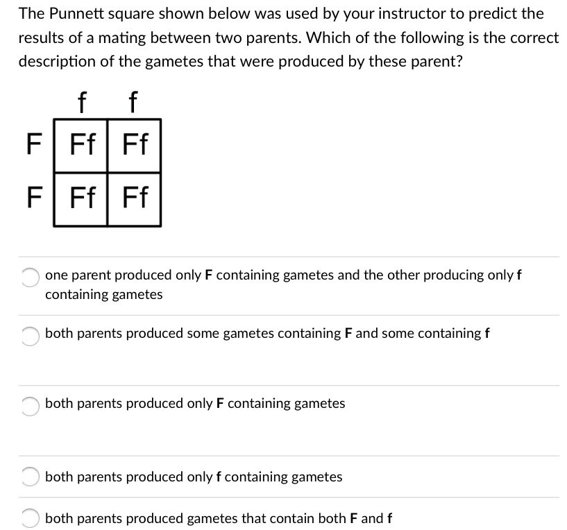 Solved Which of the following describes the difference | Chegg.com Solved Which of the following describes the difference | Chegg.com