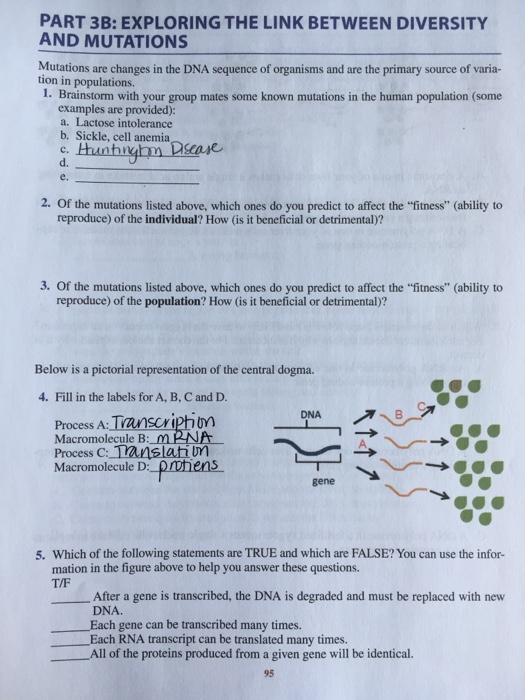 Solved Mutations arc changes in the DNA sequence of | Chegg.com