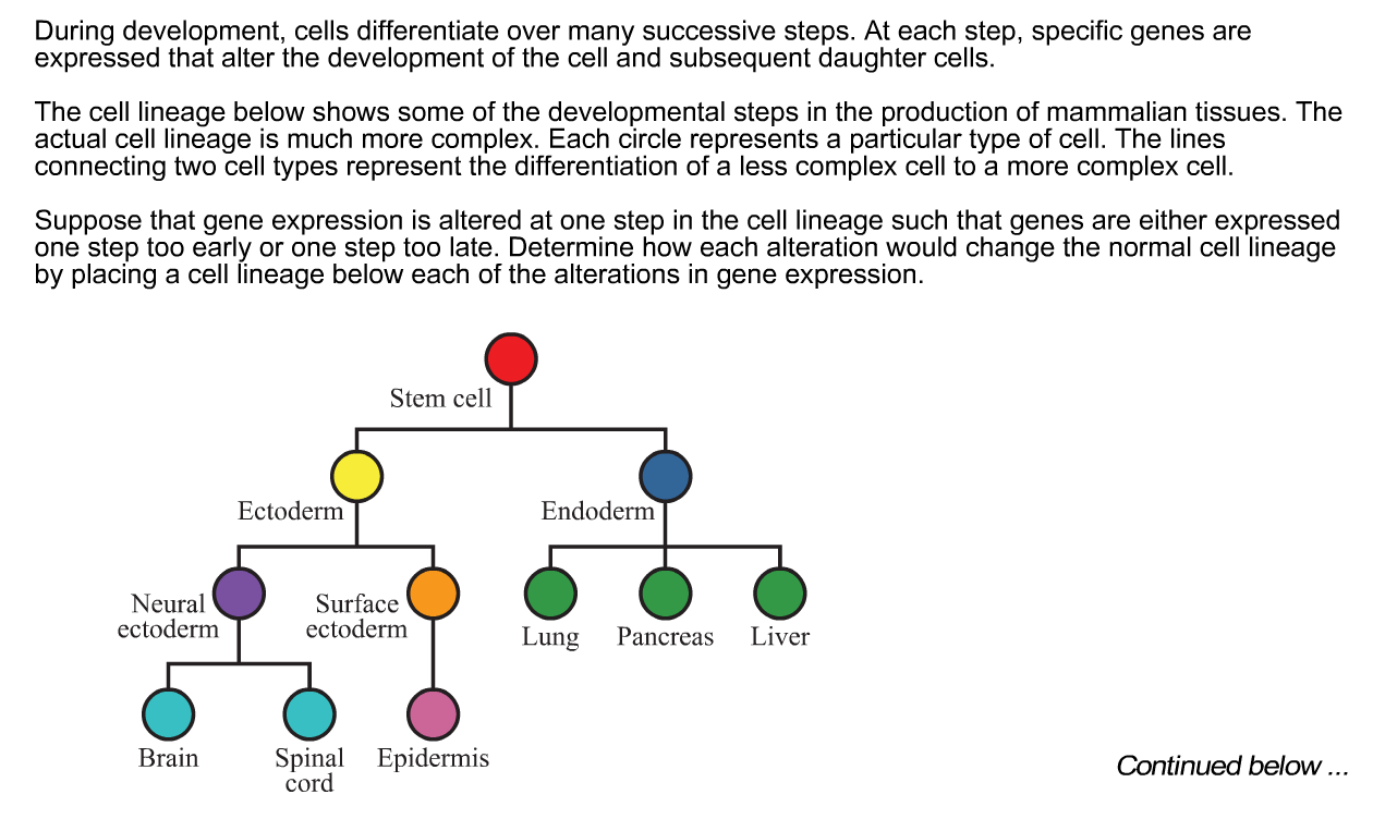 Solved During development, cells differentiate over many | Chegg.com