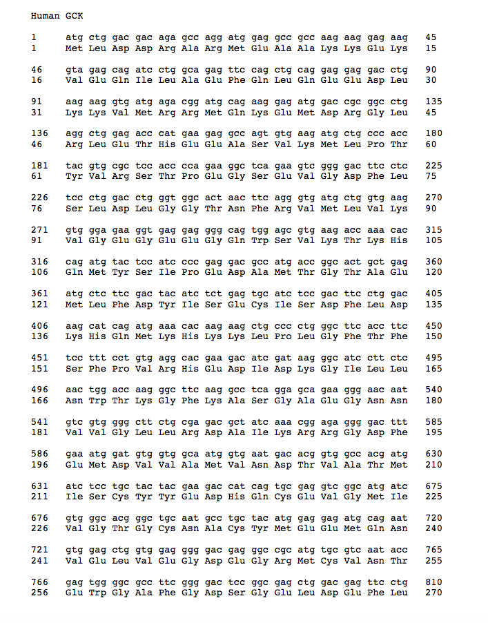 Solved Human GCK atg ctg gac gac aga gcc agg atg gag gcc gcc | Chegg.com