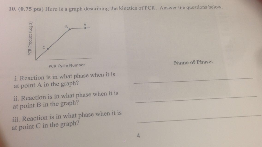 Solved Here is a graph describing the kinetics of PCR. | Chegg.com
