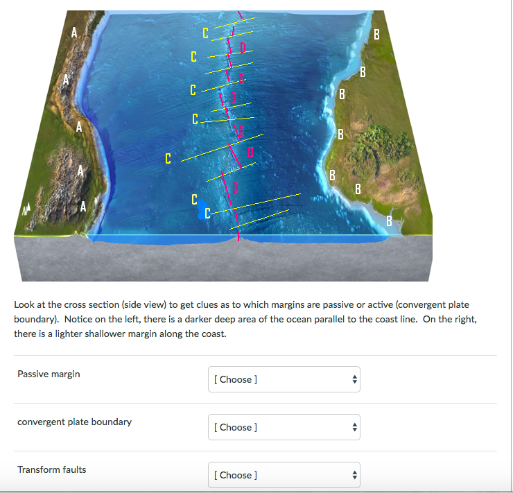 Solved Look at the cross section (side view) to get clues as | Chegg.com