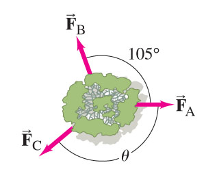 Solved Three forces are applied to a tree sapling, as shown | Chegg.com