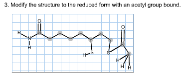 Solved Lipoamide is a coenzyme prosthetic group for several | Chegg.com