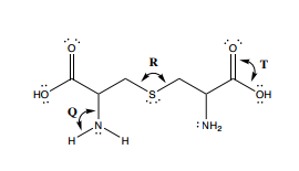 Solved 0O OH HO NH2 | Chegg.com
