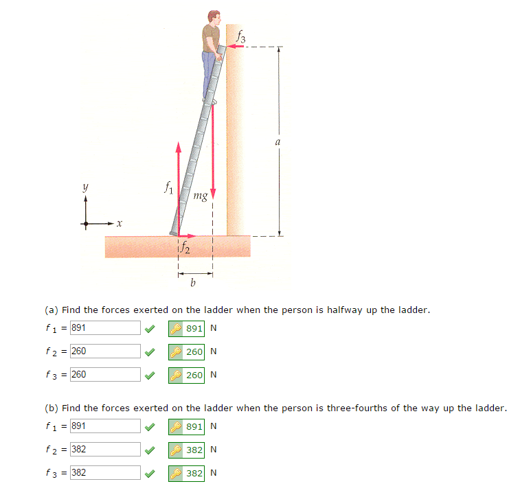 Solved An 85-kg person stands on a uniform ladder that is | Chegg.com Solved An 85-kg person stands on a uniform ladder that is | Chegg.com