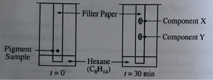 Solved In a paper chromatography experiment, a sample of a | Chegg.com