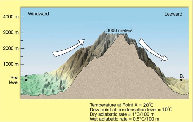 Solved .) Examine the figure below. a) What is the elevation | Chegg.com