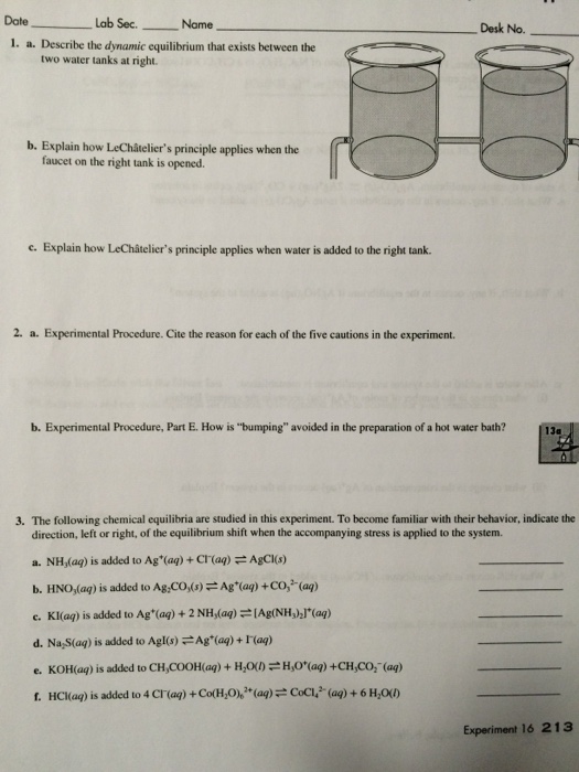 Solved Describe the dynamic equilibrium that exists between | Chegg.com