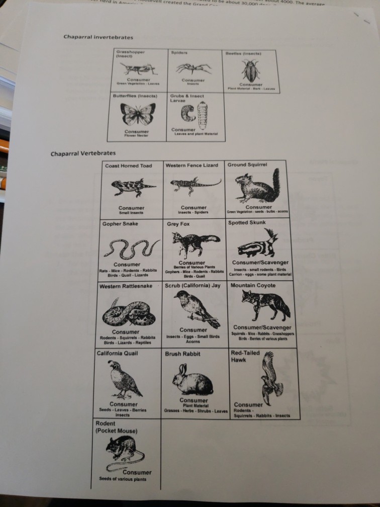 Solved Chaparral Plants Toyon Chamise Manzanita Producer | Chegg.com ...