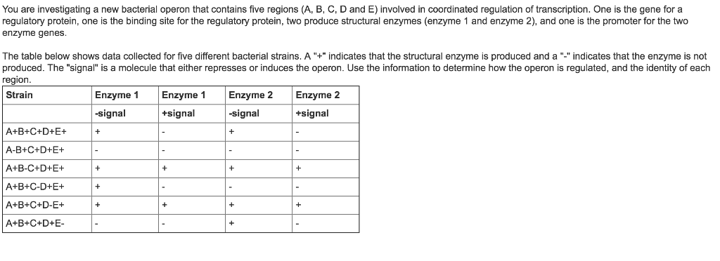 Solved You are investigating a new bacterial operon that | Chegg.com
