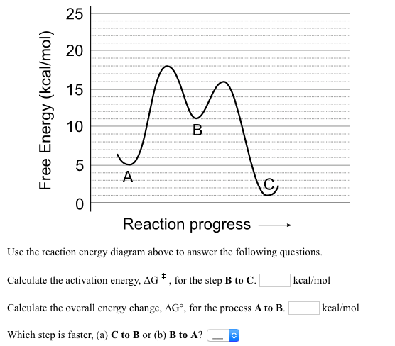 Solved Calculate the activation energy and overall change of | Chegg.com