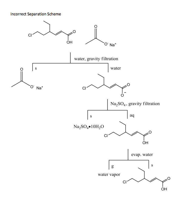 On a page titled Incorrect Separation Scheme print | Chegg.com
