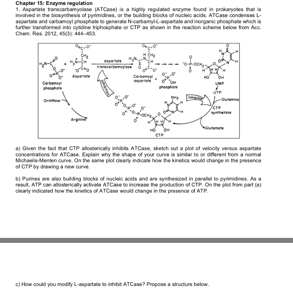 Solved Chapter 15: Enzyme regulation 1. Aspartate | Chegg.com