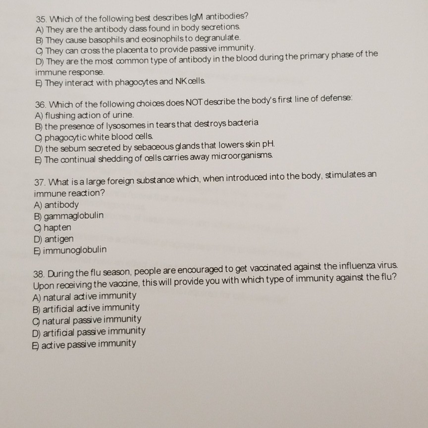 Hich of the Following Best Describes Igm Antibodies - Heaven-has-Villanueva Hich of the Following Best Describes Igm Antibodies - Heaven-has-Villanueva