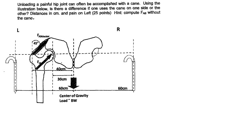 Solved Unloading a painful hip joint can often be | Chegg.com