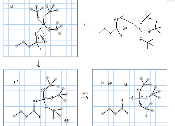 Complete the following? The protonated form of the | Chegg.com